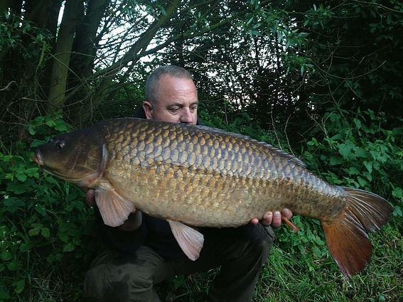 SV1 - A Different Type Of Test Bait by Joss Faulkner - Poacher Baits